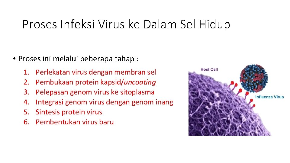 SIKLUS HIDUP DAN REPRODUKSI VIRUS Kemampuan Akhir yang