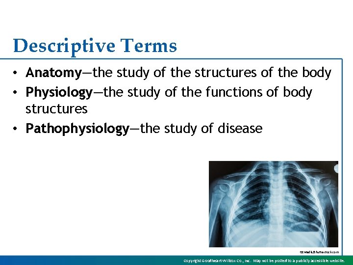 Chapter 1 The Basics and the Body What