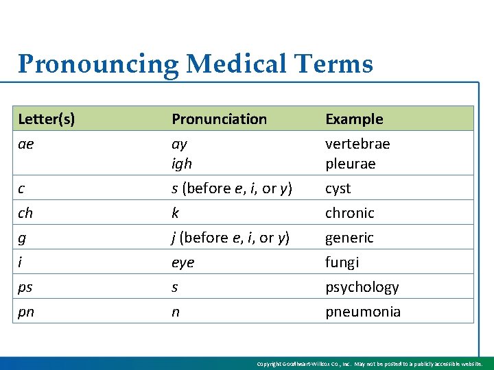 Chapter 1 The Basics and the Body What