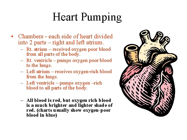 Circulatory System Heart Blood Vessels Transports Materials from