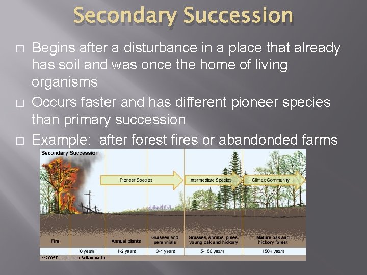 CHANGES IN ECOSYSTEMS ECOLOGICAL SUCCESSION Definition of Succession