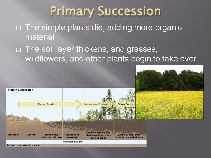CHANGES IN ECOSYSTEMS ECOLOGICAL SUCCESSION Definition of Succession