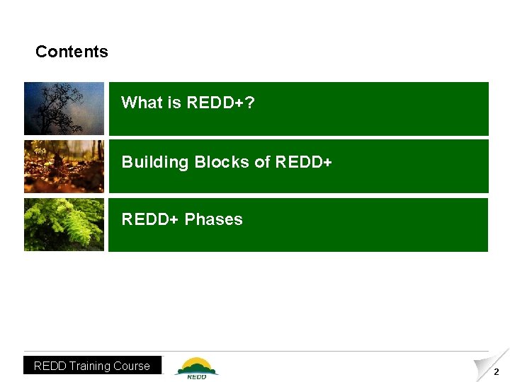 LOGO here REDD Basics REDD Training Course Contents