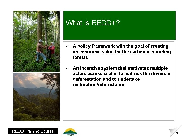 LOGO here REDD Basics REDD Training Course Contents