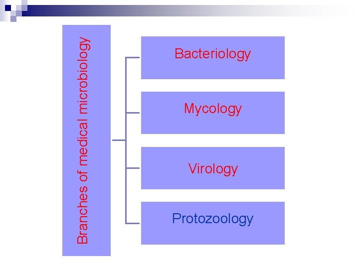 Introduction to microbiology Morphology of microorganisms Vinnitsa National