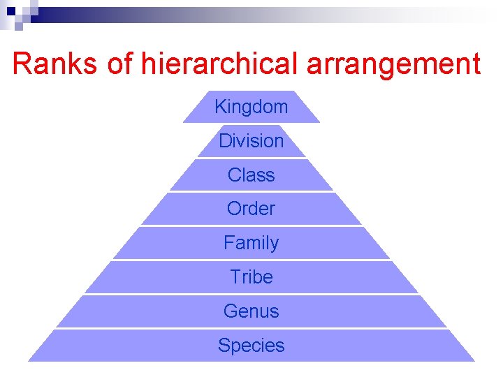 Introduction to microbiology Morphology of microorganisms Vinnitsa National