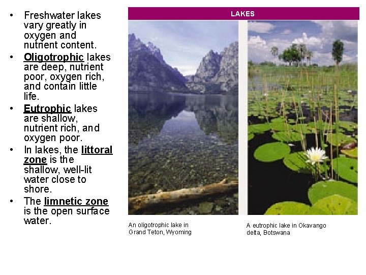 50 3 Abiotic and biotic factors influence the