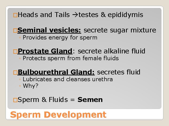 Reproduction Part I Anatomy Overall Male to produce