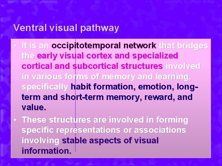 The visual pathway Domina Petric MD Introduction Cortical