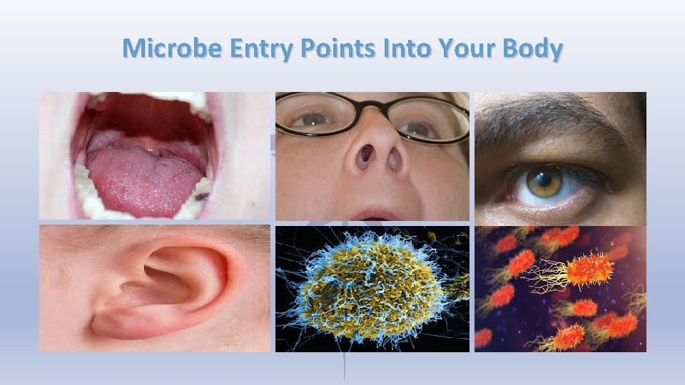 PREVENTING DISEASE TRANSMISSIONS A simple stepbystep procedure to