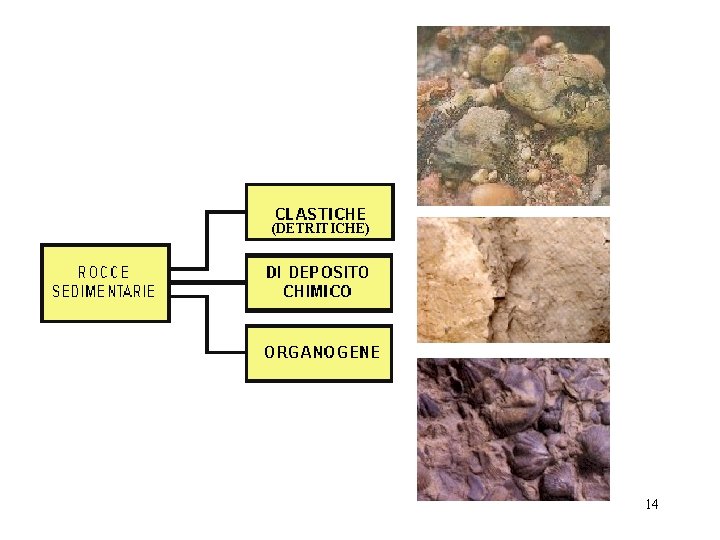 Universit Mediterranea di Reggio Calabria FACOLTA DI ARCHITETTURA