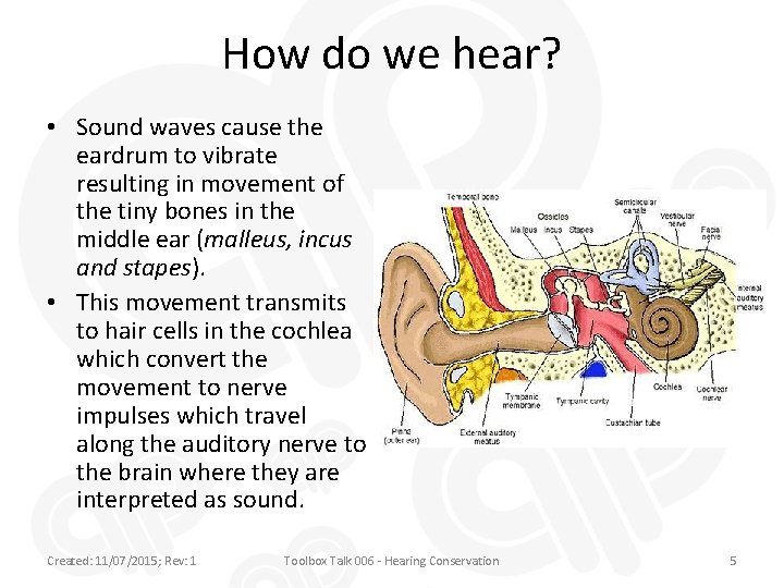 TOOLBOX TALK 006 HEARING CONSERVATION Created 11072015 Rev