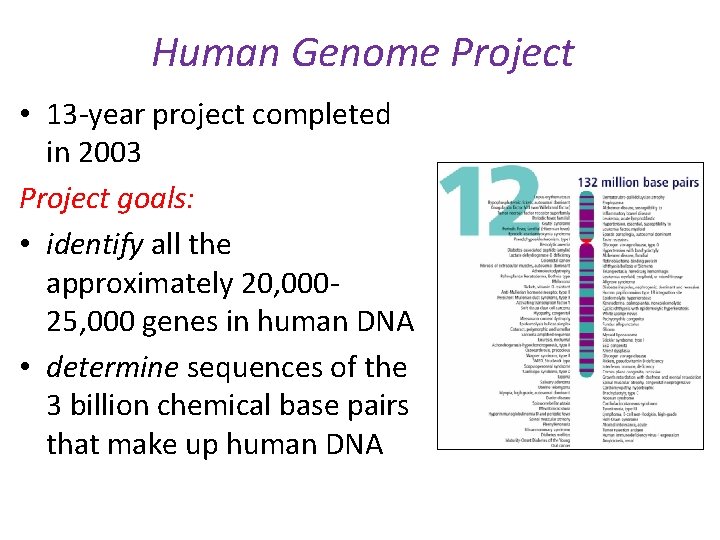 Human Genome Project 13 year project completed in