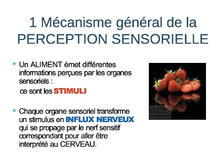 Perception sensorielle des aliments Perception sensorielles des aliments