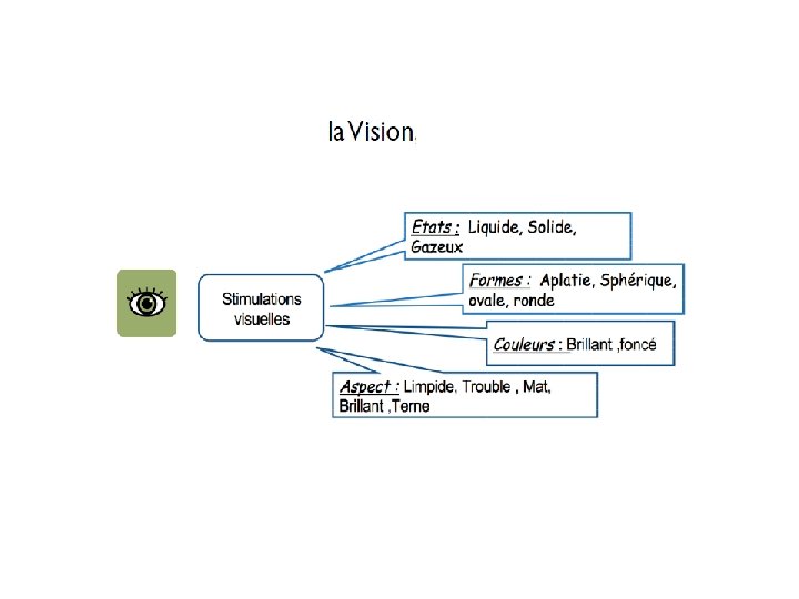 Perception sensorielle des aliments Perception sensorielles des aliments