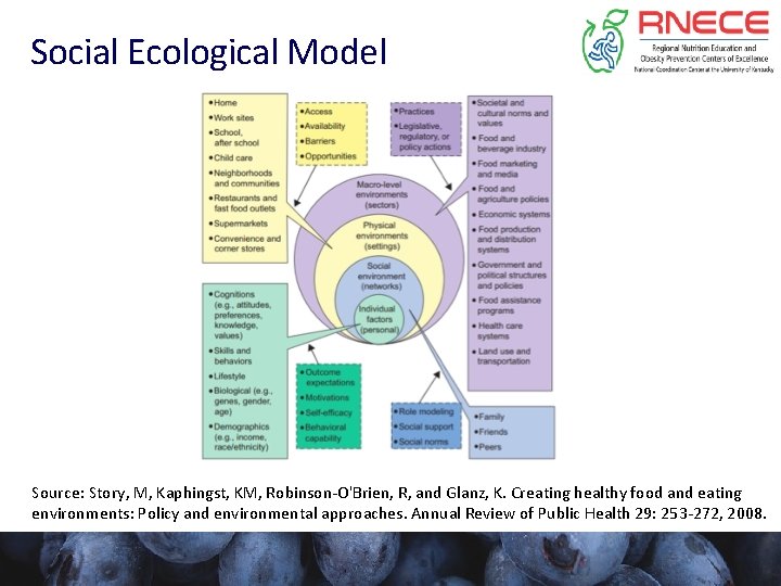 Regional Nutrition Education and Obesity Prevention Centers of