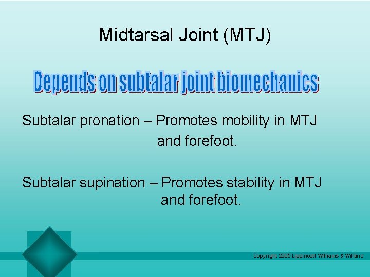Chapter 22 The Ankle and Foot Copyright 2005