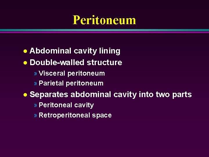 Acute Abdomen Acute Abdomen l Anatomy review l