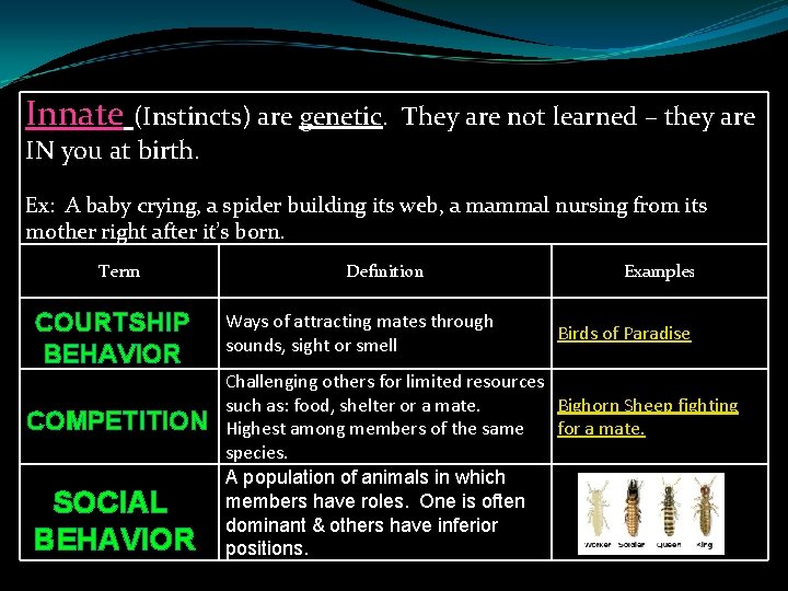 Animal Behavoir Packet 15 Fall 2012 Behavior the