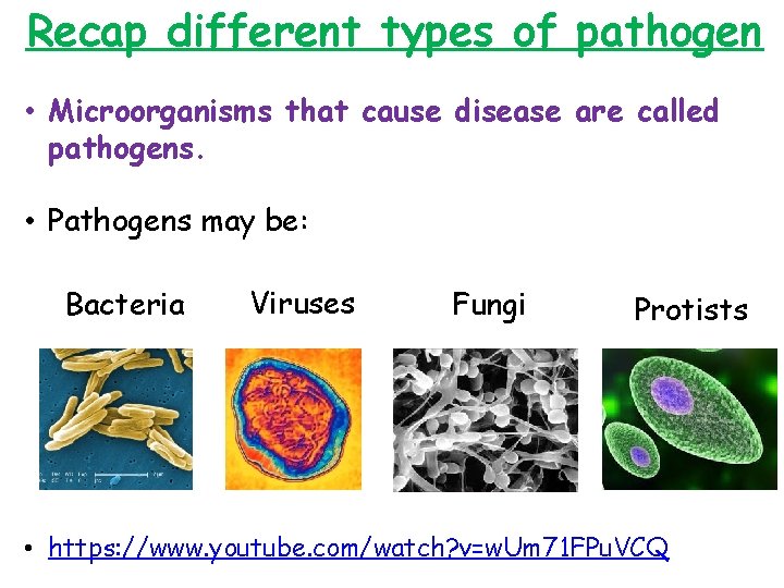 White Blood Cells 15 December 2021 Key words
