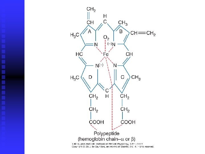 Red Blood Cells Anemia and Polycythemia Prof dr