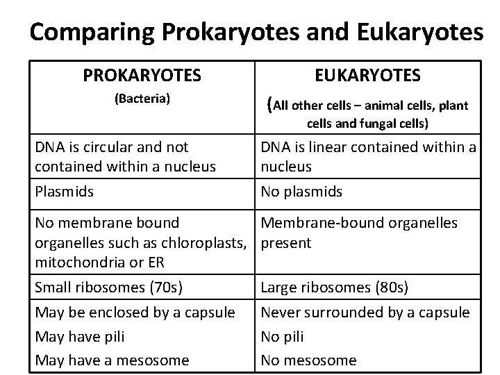 Comparing Prokaryotes and Eukaryotes PROKARYOTES EUKARYOTES Bacteria All