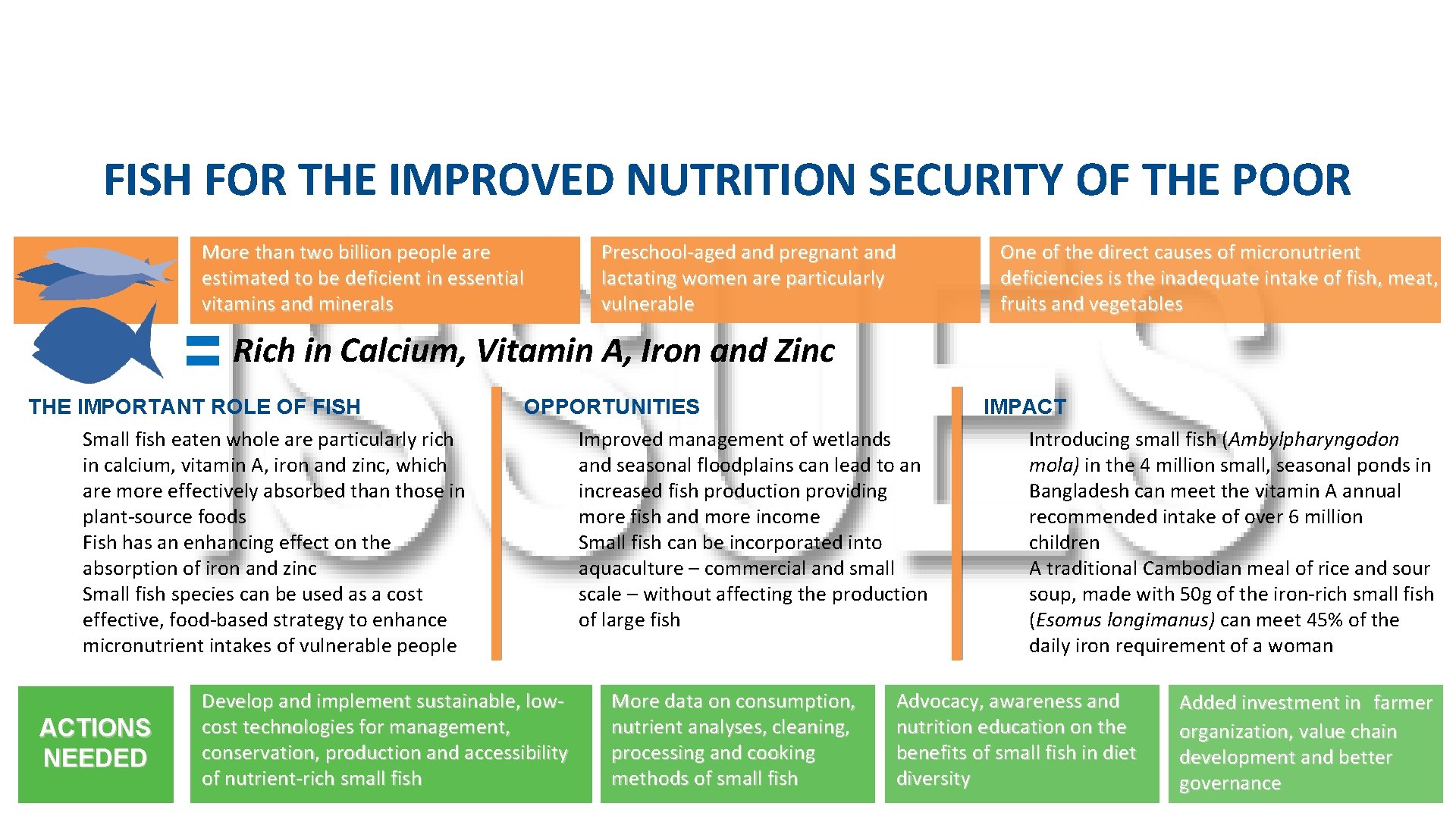 FISH FOR THE IMPROVED NUTRITION SECURITY OF THE