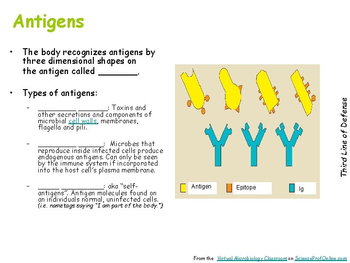 About Science Prof Online Power Point Resources Science