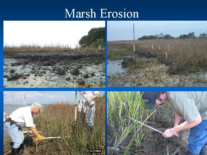 Shoreline Stabilization and Changes in Sediment Composition Associated