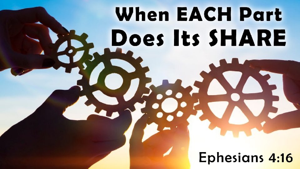 1 Corinthians 12 12 14 There is not