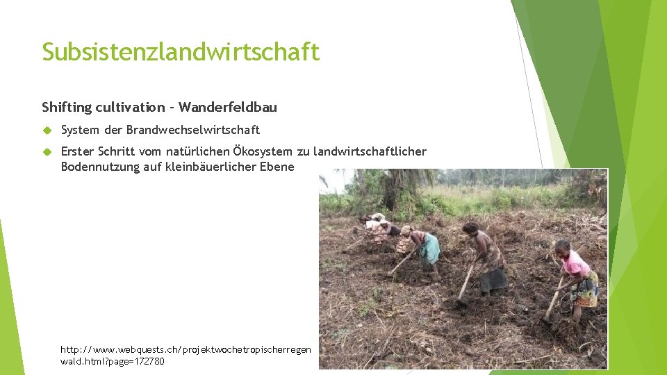 Vom Wanderfeldbau zur Plantagenwirtschaft traditionelle und moderne ...