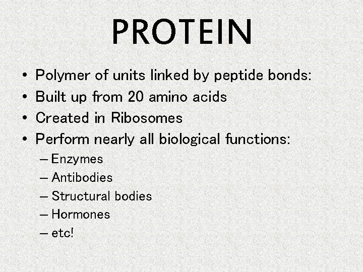 PROTEIN SYNTHESIS WHAT IS IT HOW DOES IT