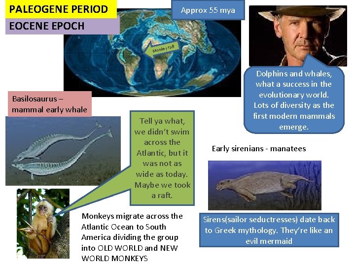JOURNEY THROUGH THE AGES PART 3 Begins PALEOGENE