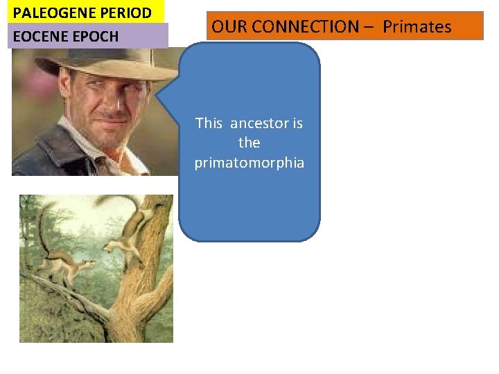 JOURNEY THROUGH THE AGES PART 3 Begins PALEOGENE