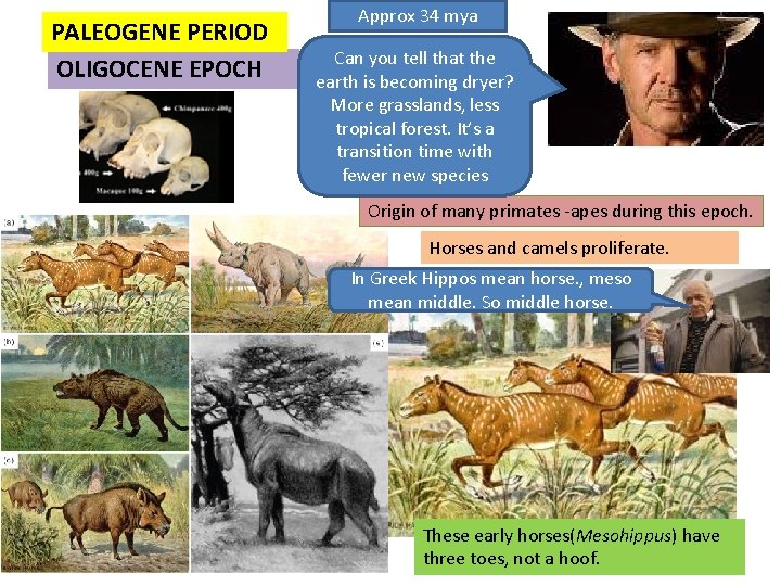 JOURNEY THROUGH THE AGES PART 3 Begins PALEOGENE