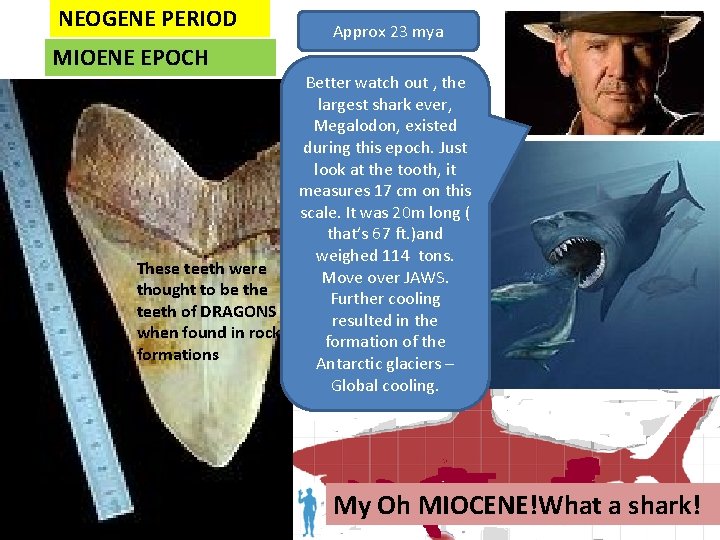 JOURNEY THROUGH THE AGES PART 3 Begins PALEOGENE