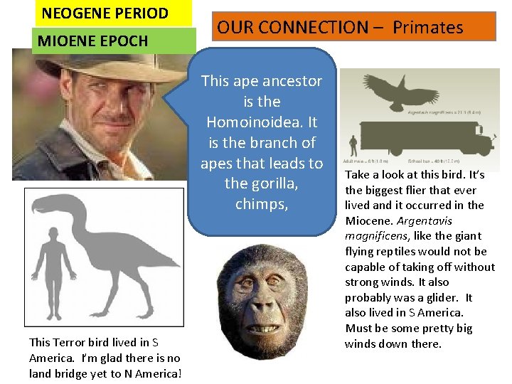 JOURNEY THROUGH THE AGES PART 3 Begins PALEOGENE