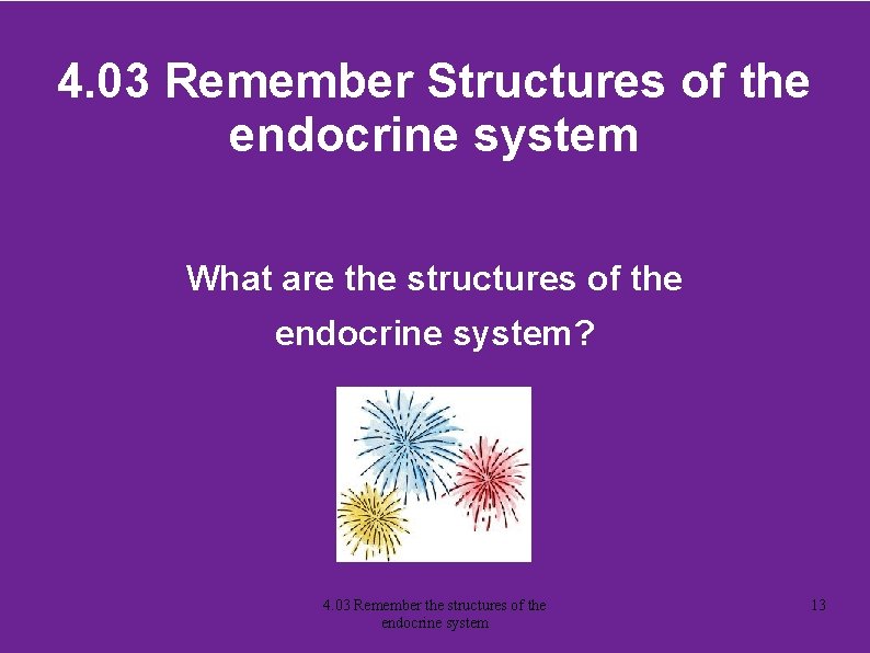 4 03 Remember the structures of the endocrine
