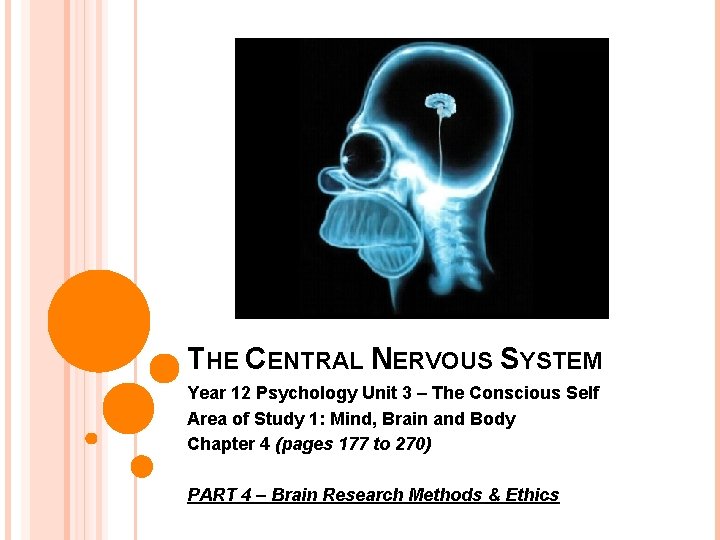 THE CENTRAL NERVOUS SYSTEM Year 12 Psychology Unit