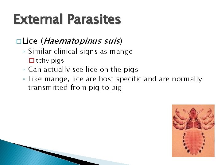 Swine Parasites Introduction Most parasitic infections of swine