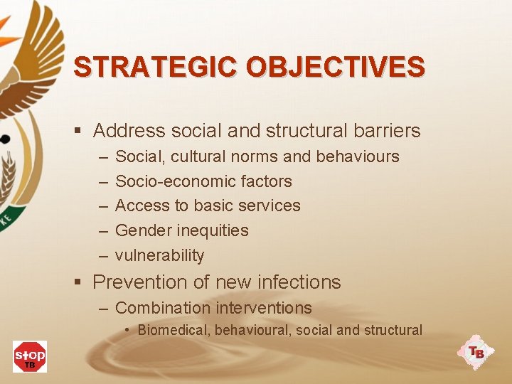 TB AND HIV THE STRATEGIC VISION FOR THE