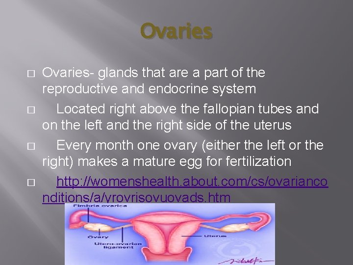 THE ENDOCRINE SYSTEM Purpose of the Endocrine System