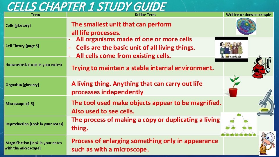 CELLS CHAPTER 1 STUDY GUIDE Term Cells glossary