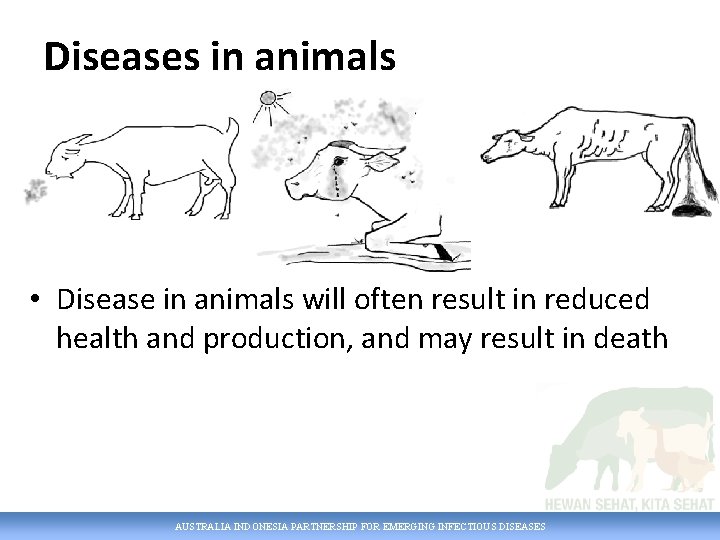Basic Field Epidemiology Session 3 Signs Syndrome and