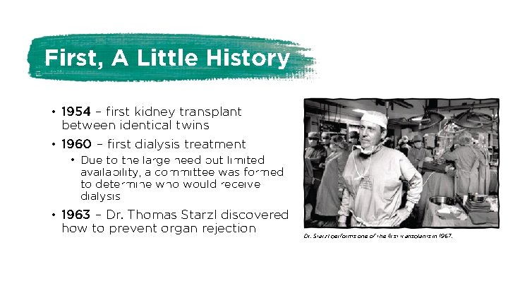 Lets Explore Kidneys What are kidneys Two beanshaped