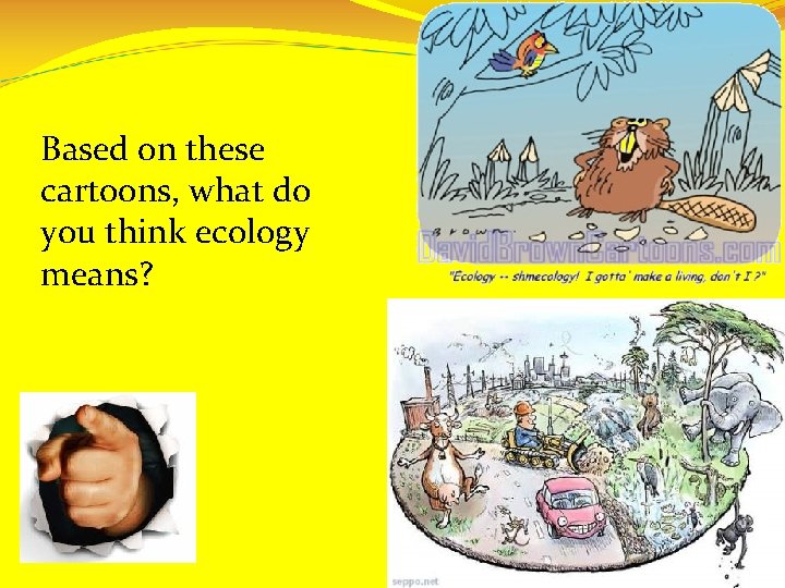 ECOLOGY Based on these cartoons what do you