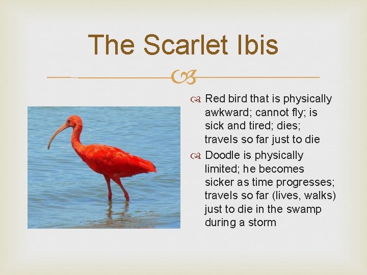 The Scarlet Ibis James Hurst Symbols World War