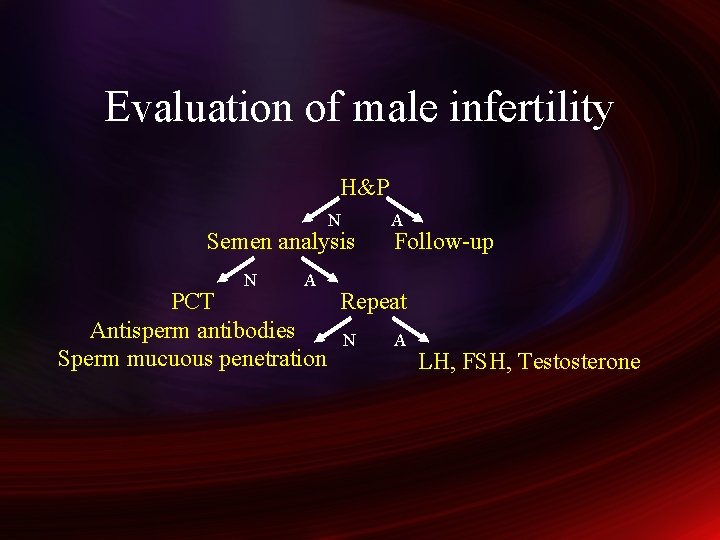 Interpretation of Laboratory Tests A CaseOriented Review of