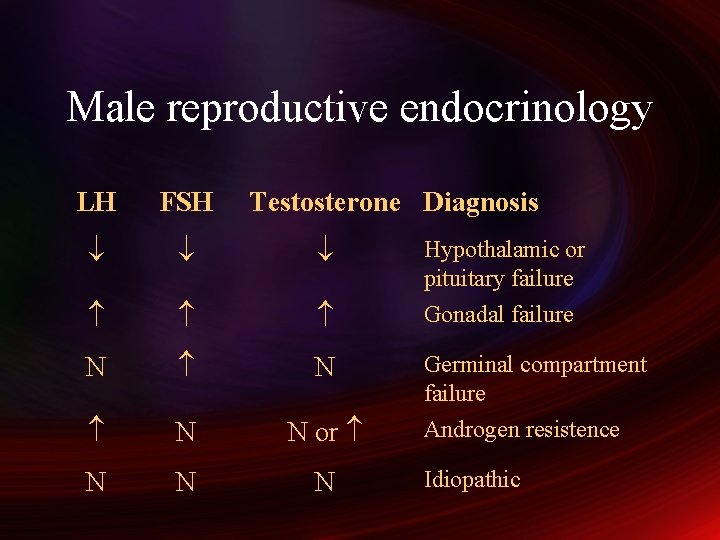 Interpretation of Laboratory Tests A CaseOriented Review of