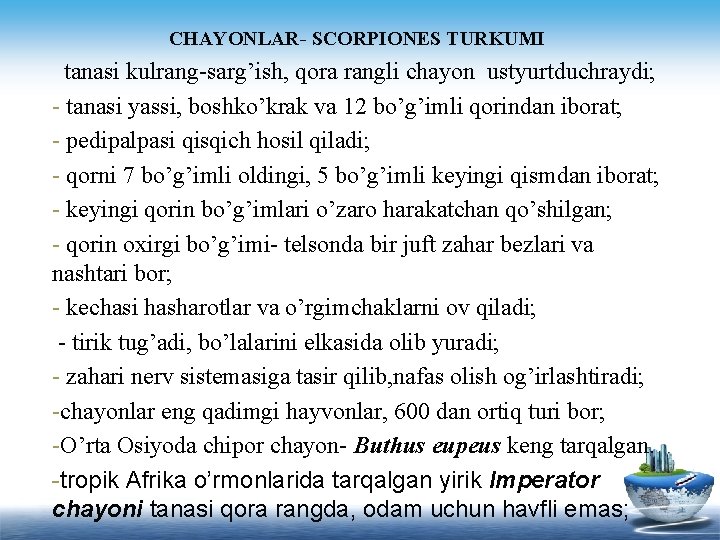 LOGO ORGIMCHAKSIMONLAR SISTEMATIKASI www themegallery com ...